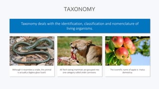 Introduction to biology | PPTX