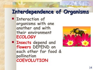 PIR AMIR HUSSAIN NOSHAHI | PPT