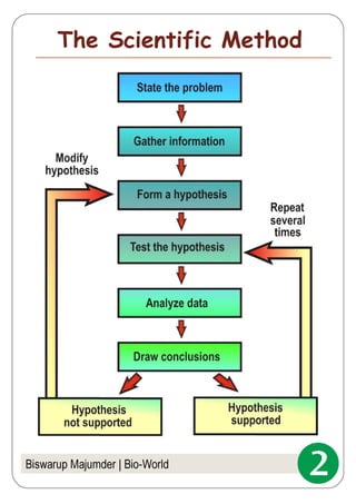 Introduction to Biology | PDF