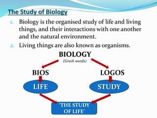 Introduction to biology | PPT
