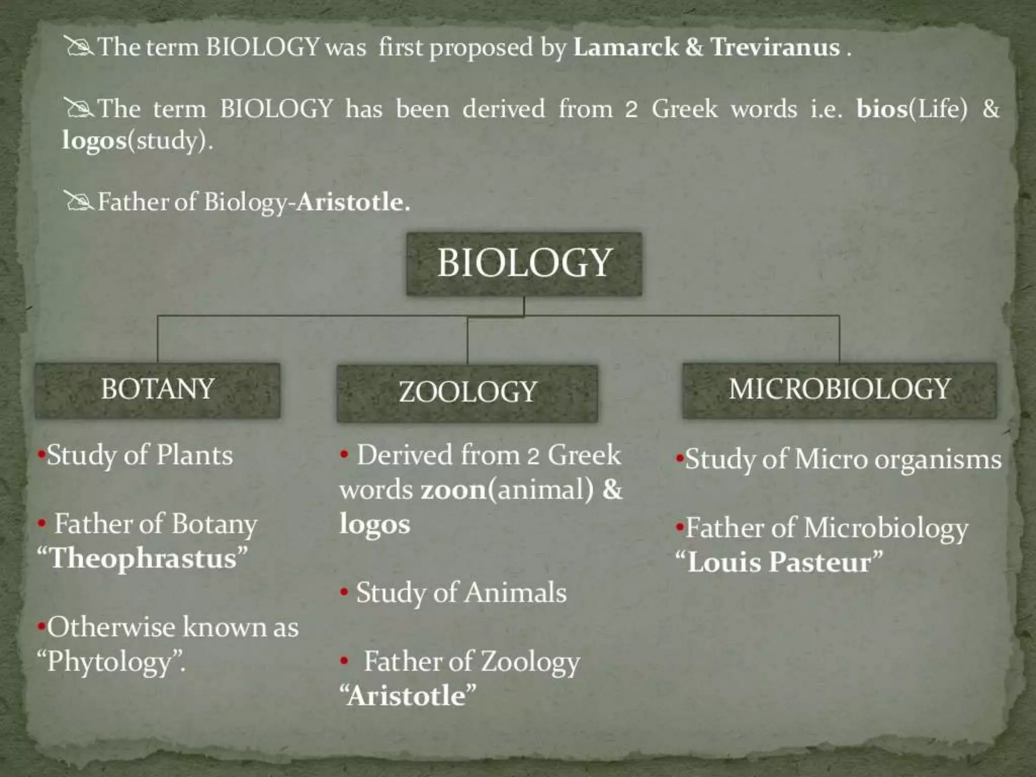 Introduction to biology ( Zoology) | PPTX