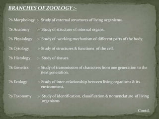 Introduction to biology ( Zoology) | PPTX | Biological Sciences | Science