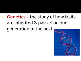 introductiontobiology.pdf