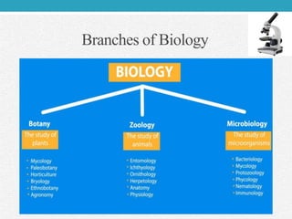 INTRODUCTION TO BIOLOGY.pptx