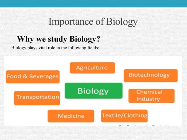 INTRODUCTION TO BIOLOGY.pptx
