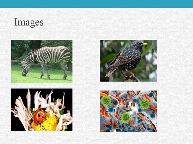 INTRODUCTION TO BIOLOGY.pptx