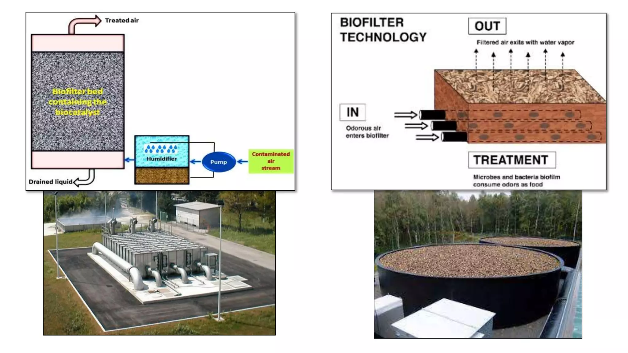 Introduction to Biology for Engineers.pptx