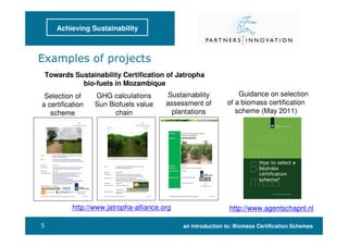 Introduction to biomass certification schemes | PDF