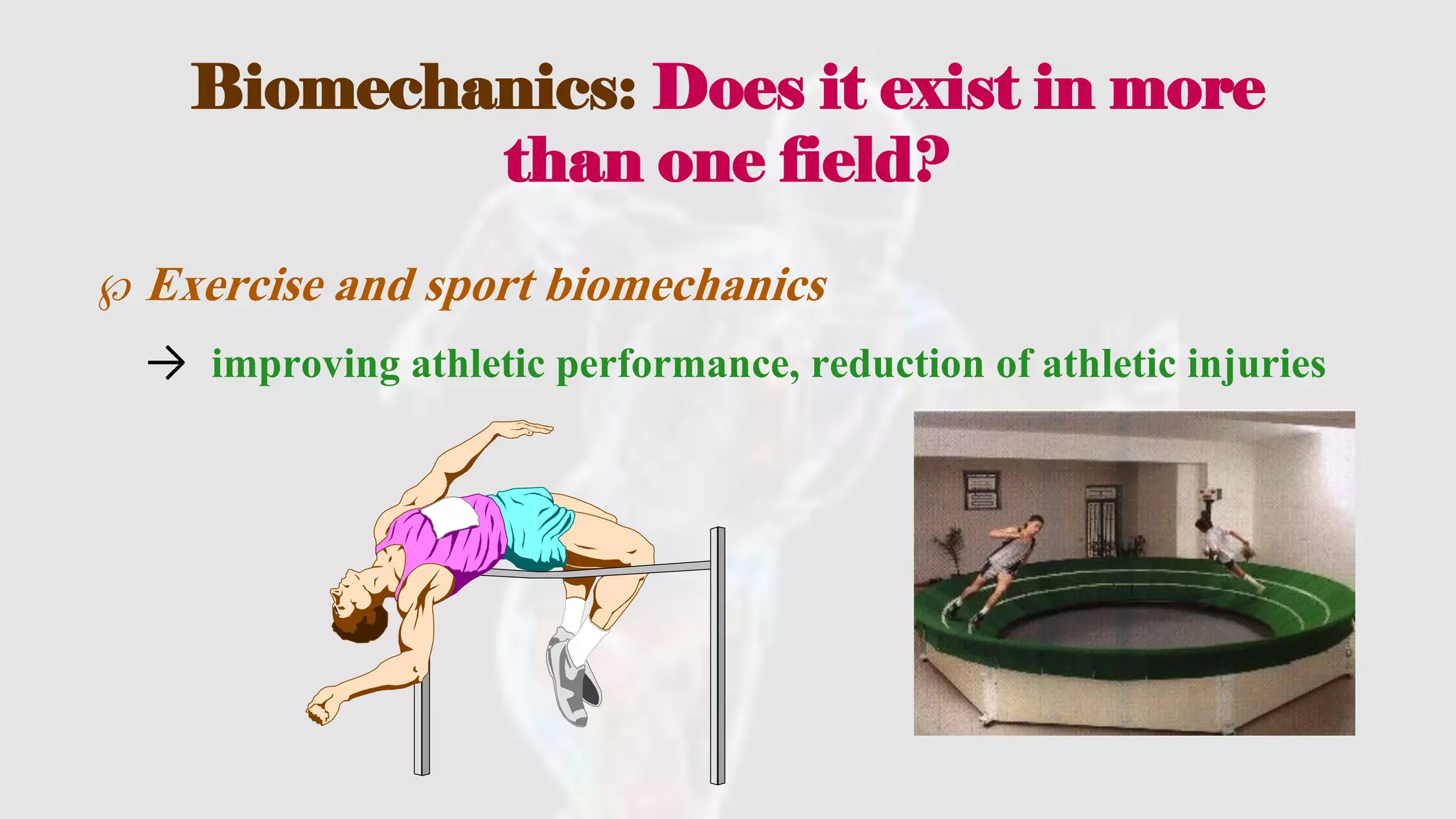 Introduction to Biomechanics.pdf