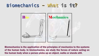 Introduction to Biomechanics.pdf