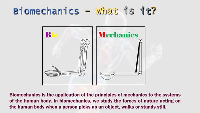 Introduction to Biomechanics.pdf