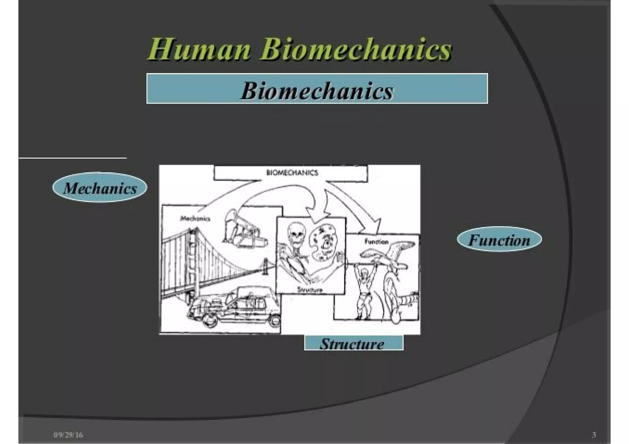INTRODUCTION TO BIOMECHANICS .pdf