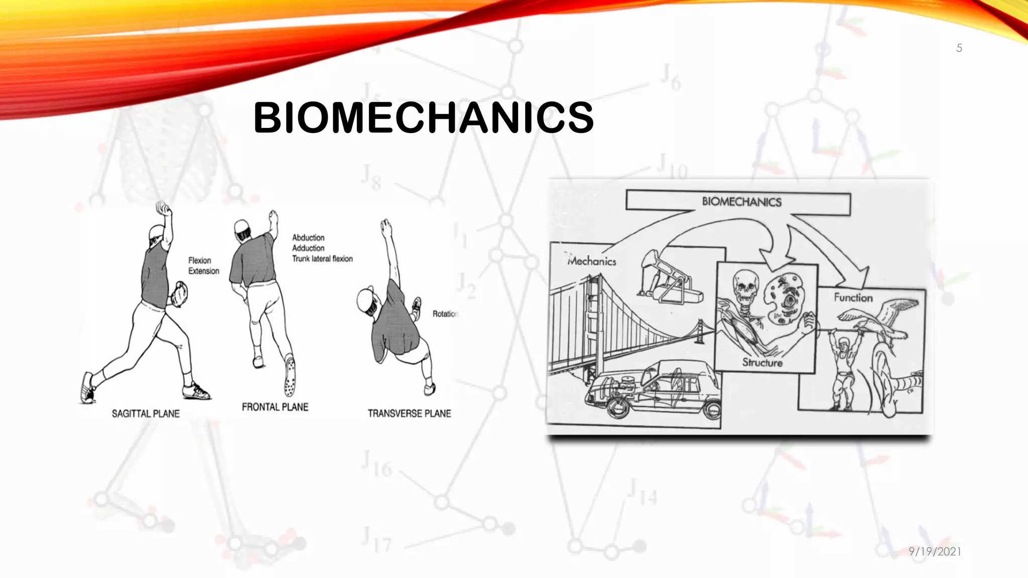 Introduction to biomechanis and ergonomics 1 | PDF