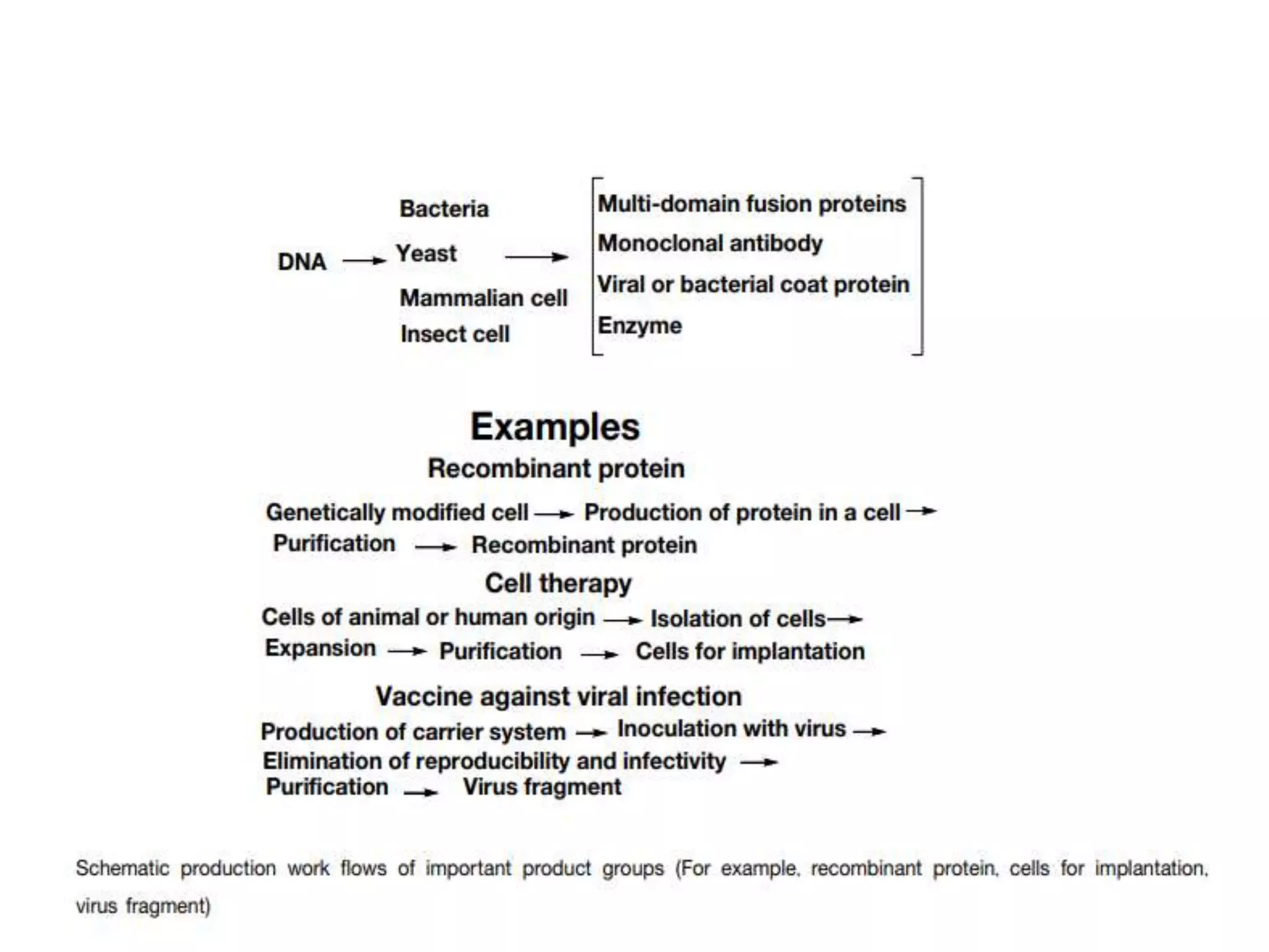 Introduction to biopharmaceutical.pptx
