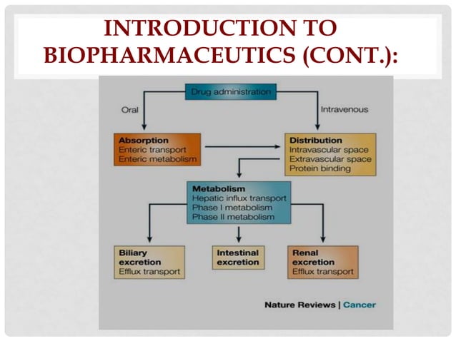 Introduction to biopharmaceutics