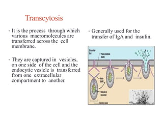 Introduction to Biopharmaceutics.pptx