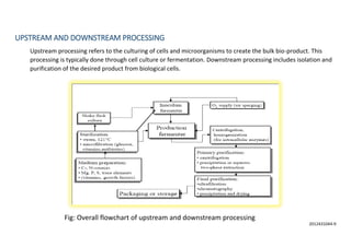 Introduction to Bioprocess Engineering | PDF