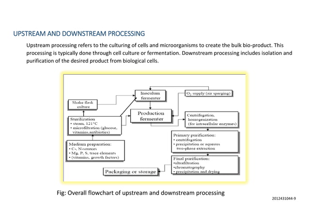 Introduction to Bioprocess Engineering | PDF | Biotech and Biomedical ...