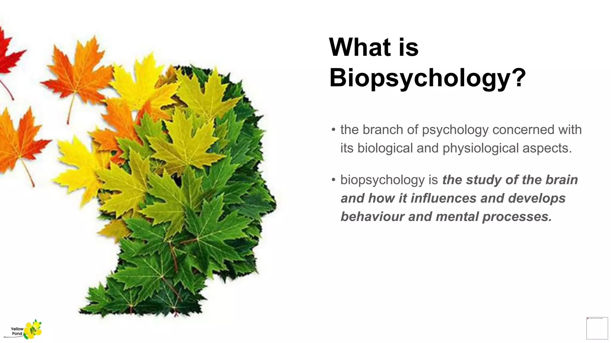Introduction to biopsychology 2.0 | PPTX