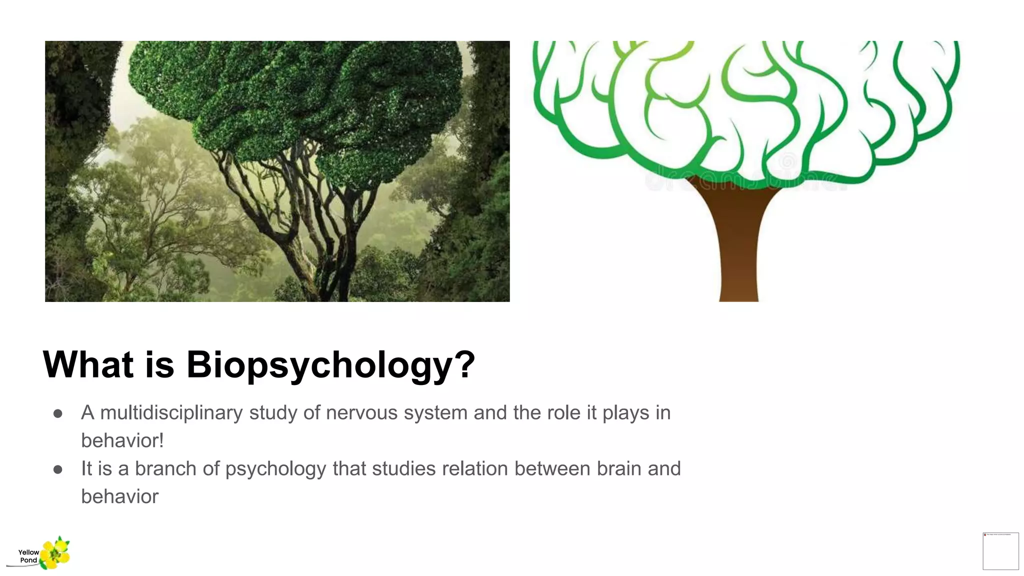 Introduction to biopsychology 2.0 | PPTX