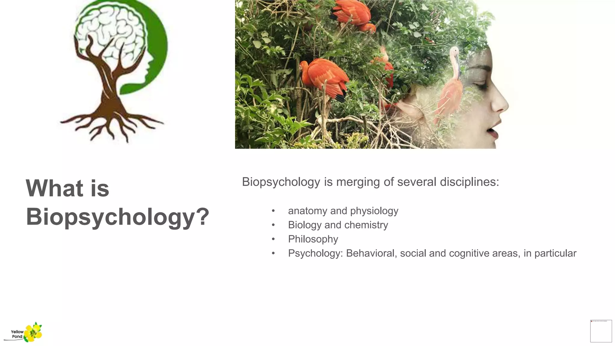 Introduction to biopsychology 2.0 | PPTX