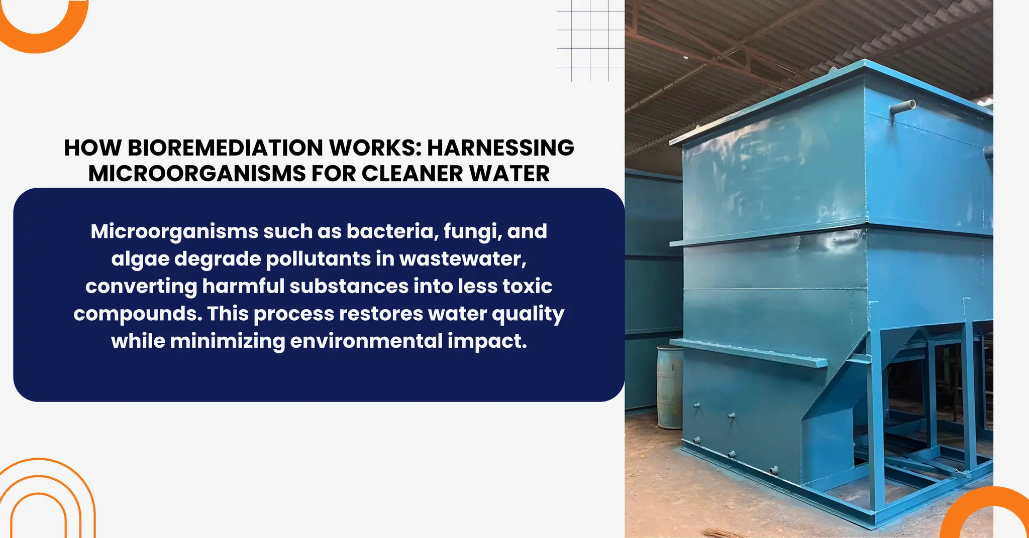 Introduction to Bioremediation Nature’s Solution to Wastewater ...