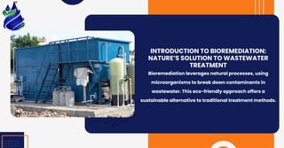 Introduction to Bioremediation Nature’s Solution to Wastewater ...