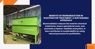 Introduction to Bioremediation Nature’s Solution to Wastewater ...