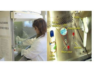 Introduction to biosafety | PPTX