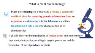 introduction of plant biotechnology .pptx