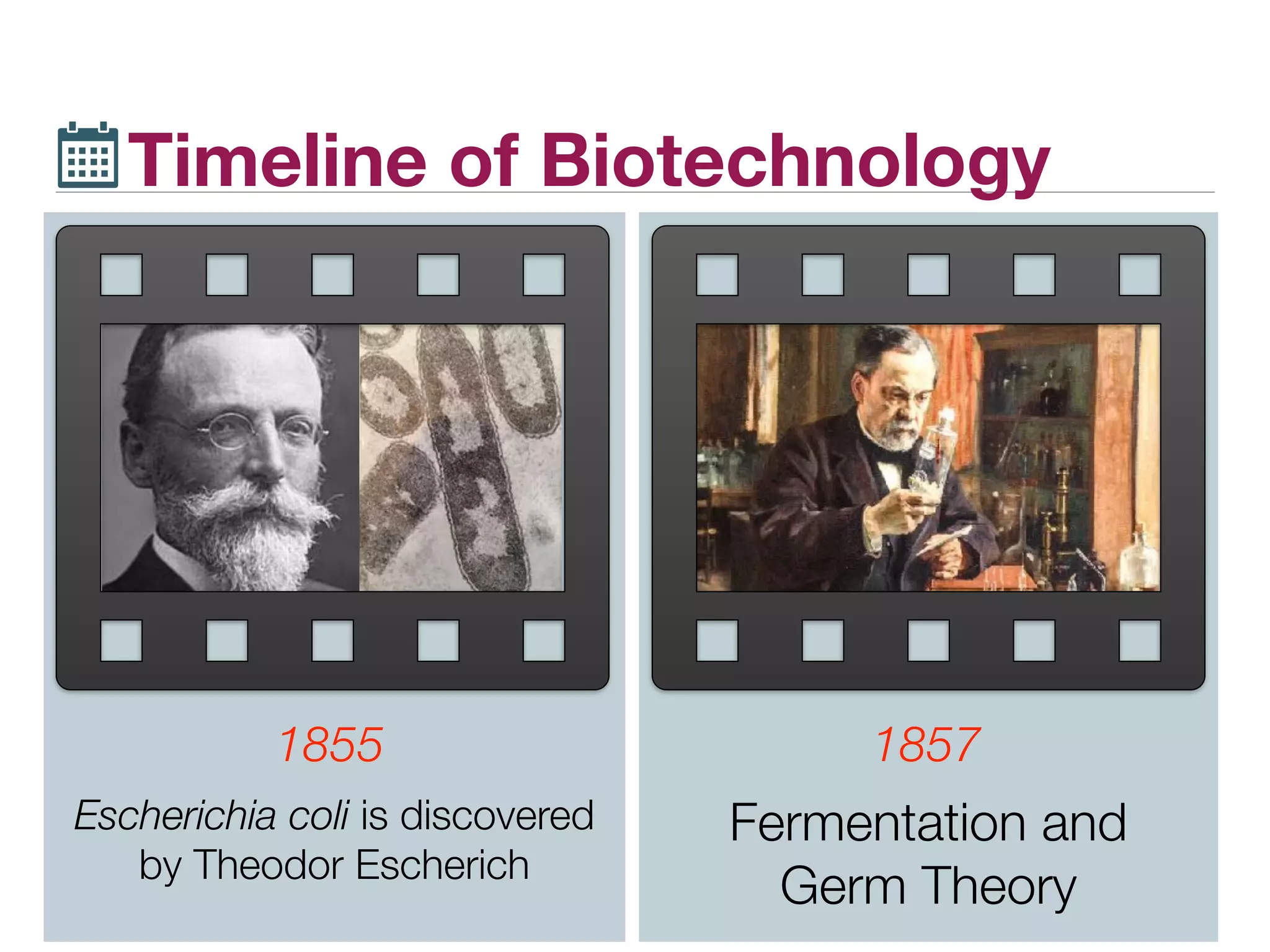 Introduction to Biotechnology | PDF