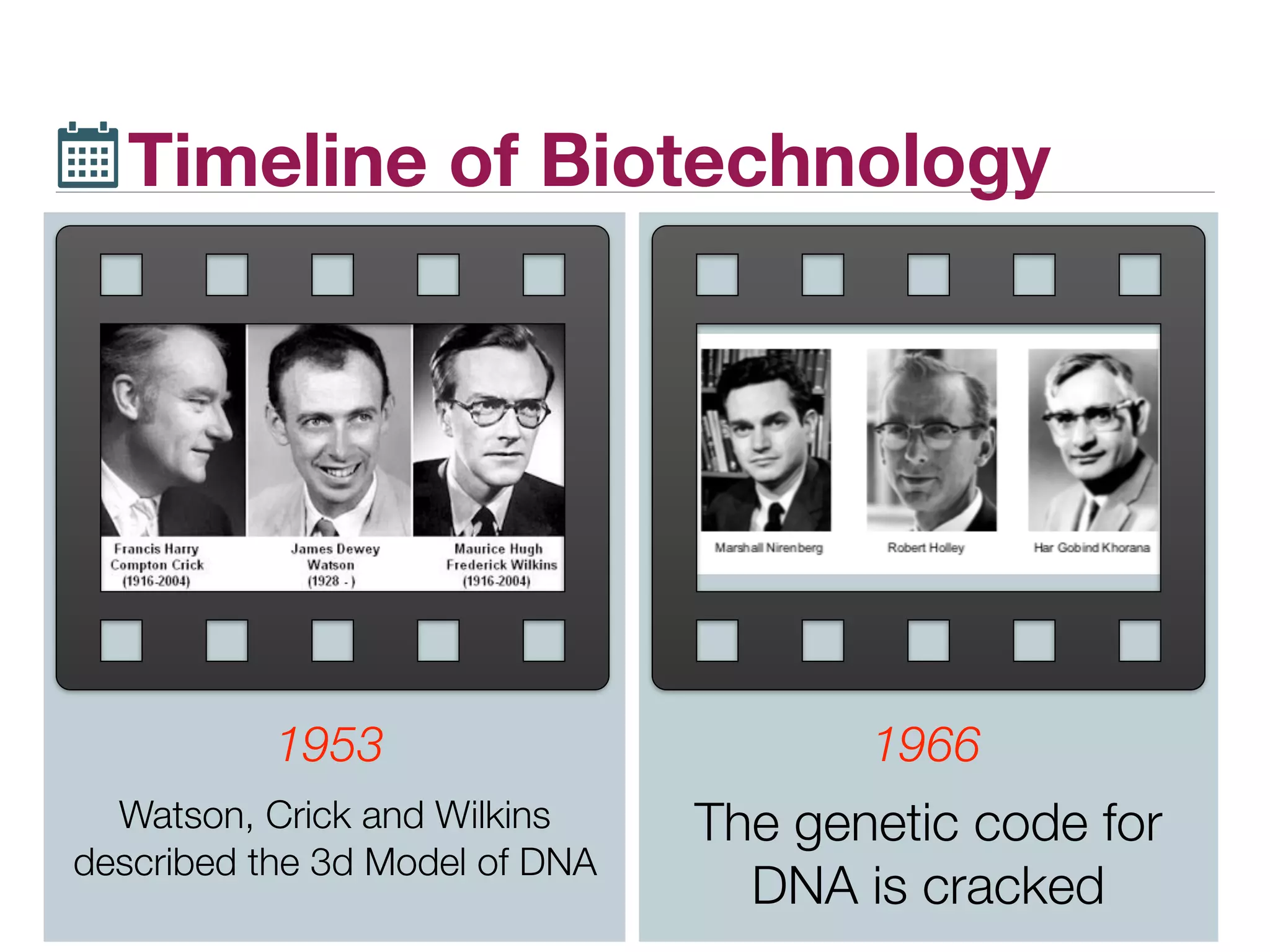 Introduction to Biotechnology | PDF
