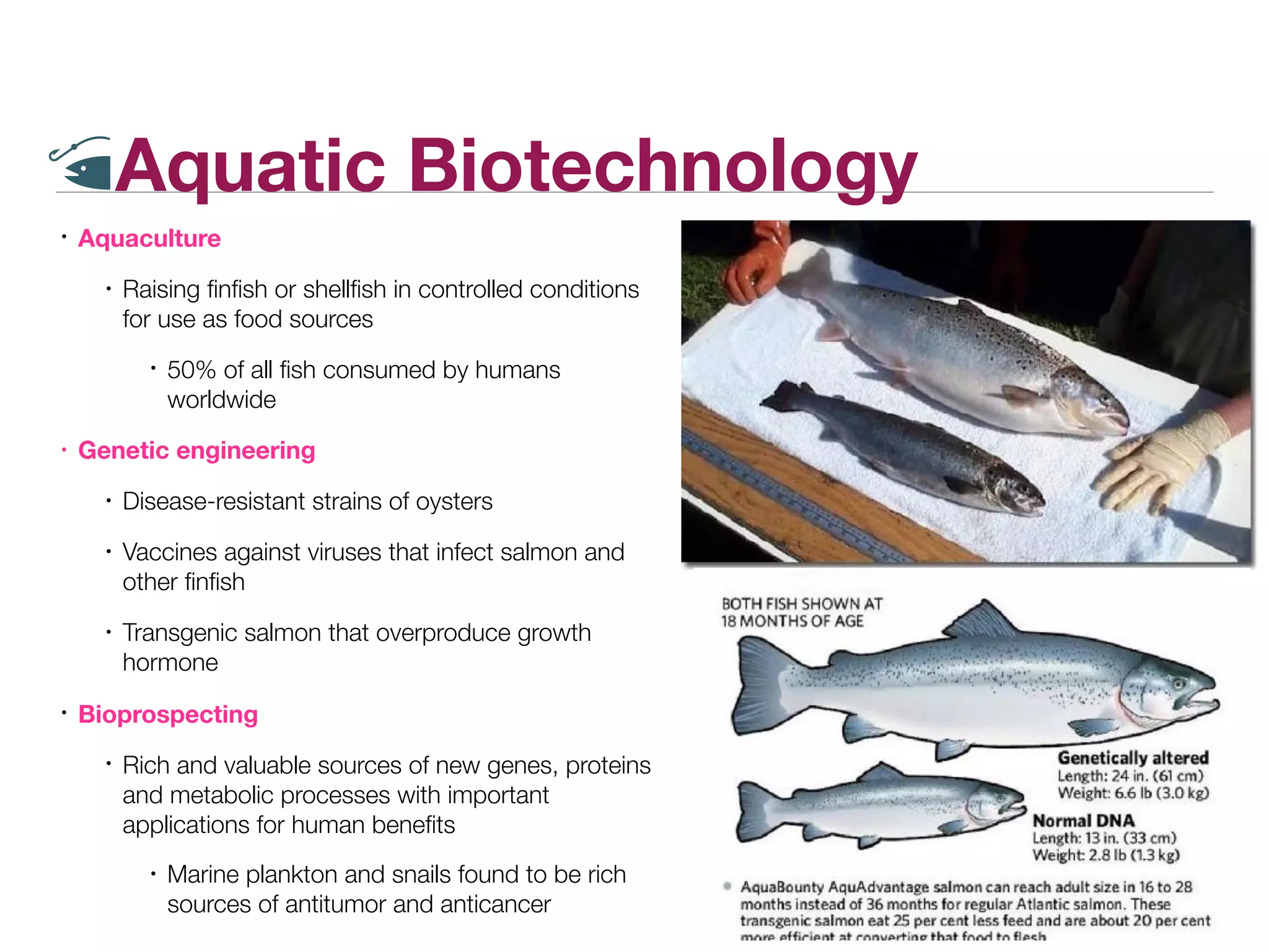 Introduction to Biotechnology | PDF