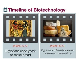 Introduction to Biotechnology | PDF