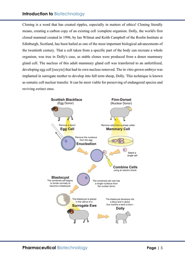 Introduction to Biotechnology.pdf