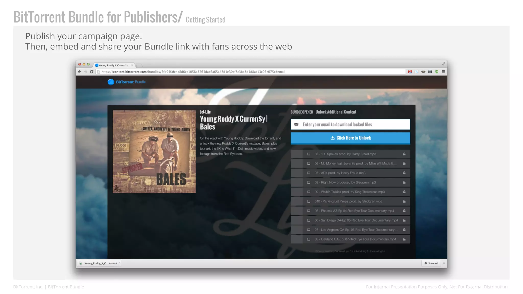 Introduction to BitTorrent Bundle | PDF