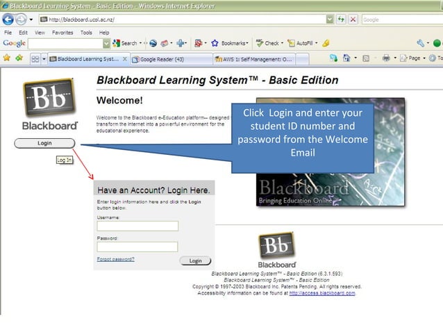 Introduction To Blackboard | PPT | Education