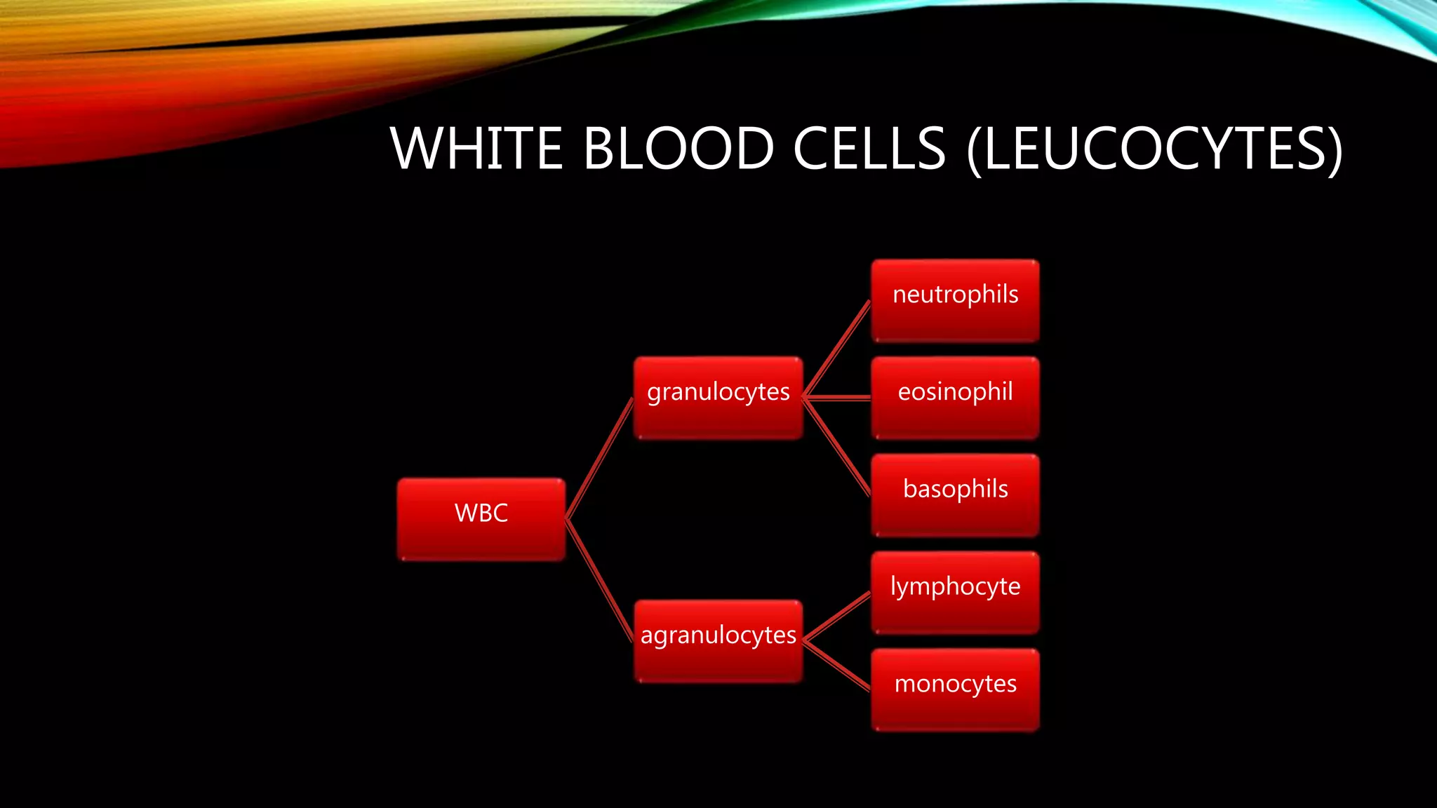 Introduction to blood components of blood, pcv | PPTX