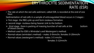 Introduction to blood components of blood, pcv | PPTX
