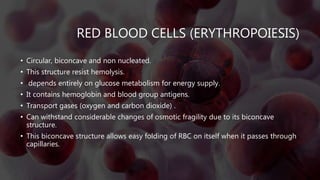 Introduction to blood components of blood, pcv | PPTX