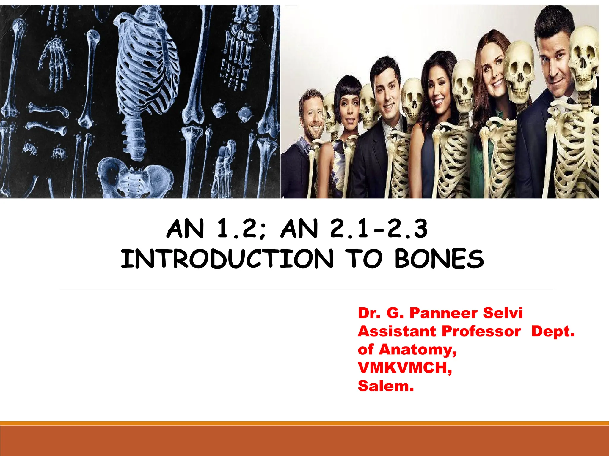 INTRODUCTION TO BONES.ppt general anatomy mbbs | PPT