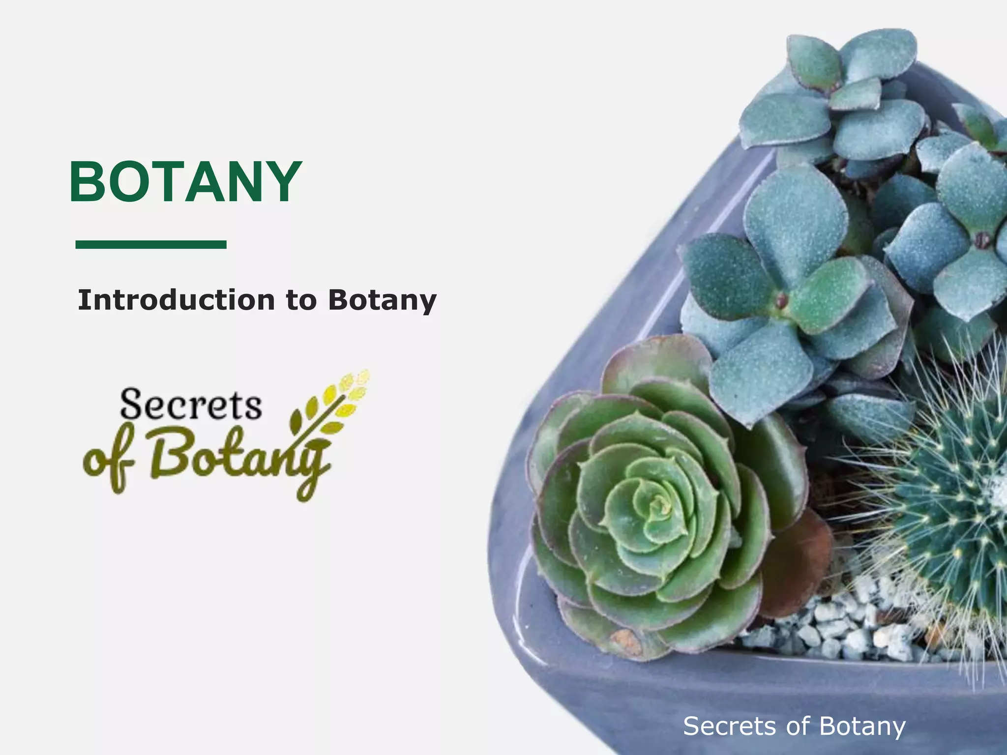 Introduction to botany | PPTX
