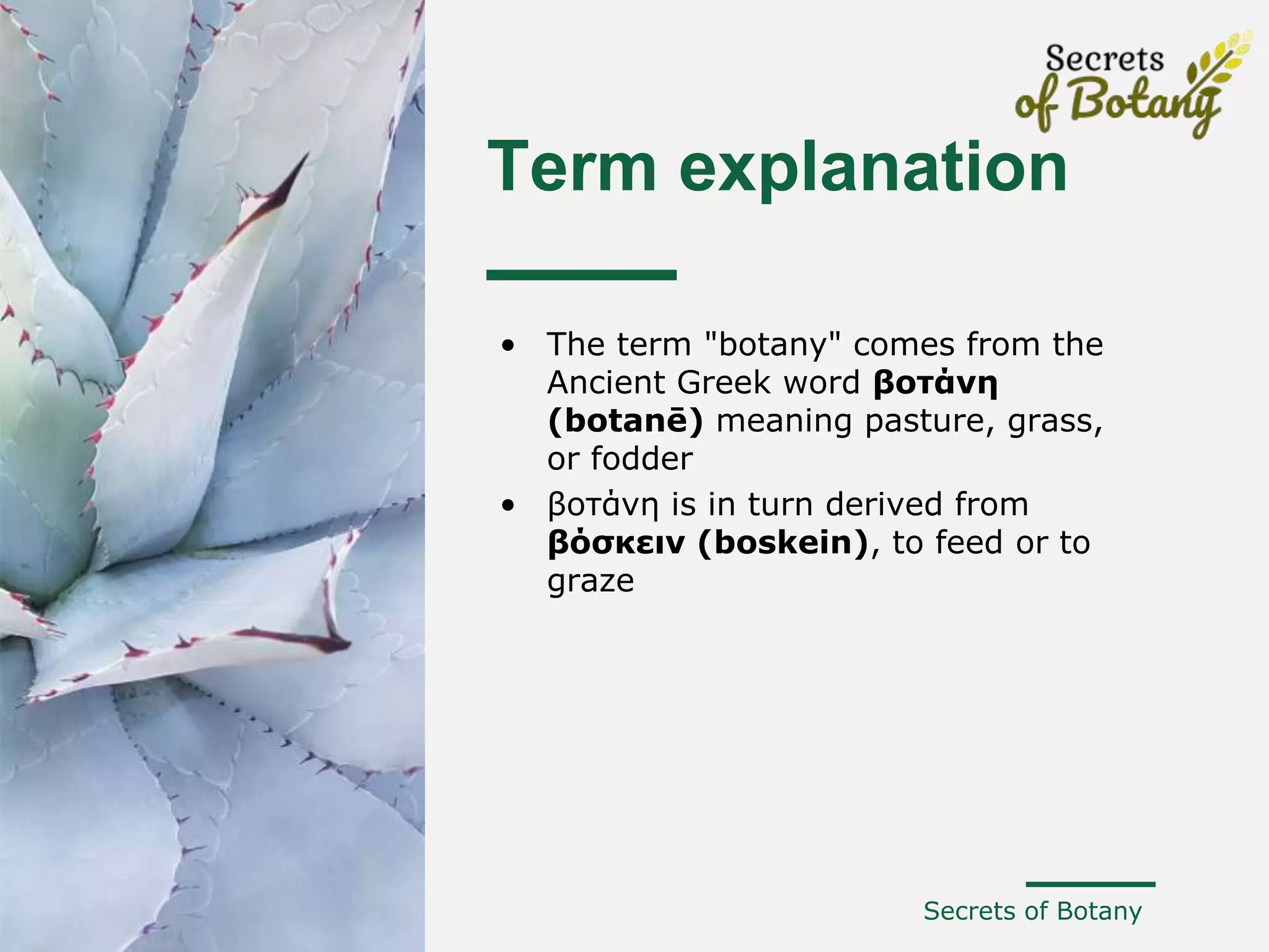 Introduction to botany | PPTX