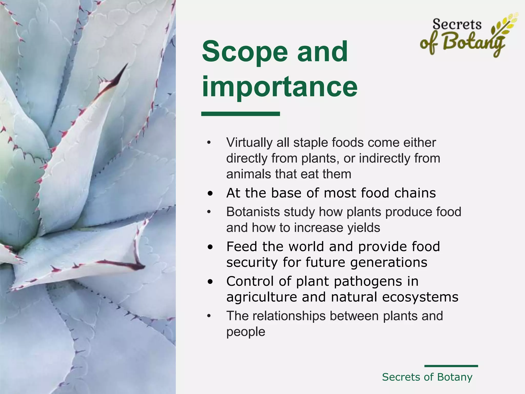 Introduction to botany | PPTX