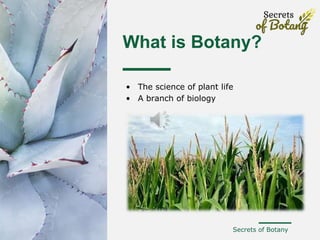 Introduction to botany | PPTX