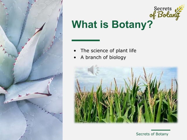 Introduction to botany | PPTX
