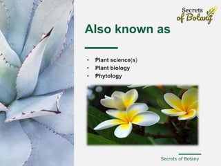 Introduction to botany | PPTX