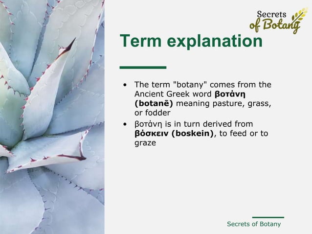 Introduction to botany | PPTX