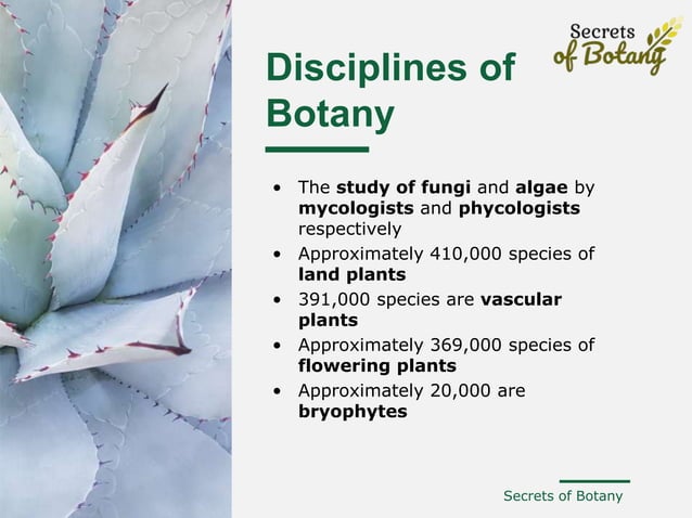 Introduction to botany | PPTX