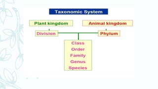 Introduction to Botany Lesson 1.pptx